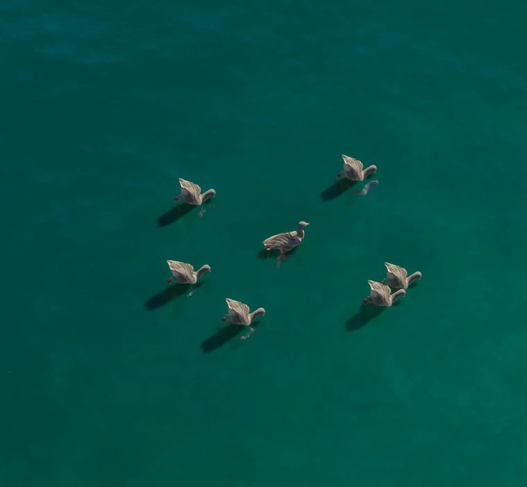Duplicate - Geese swimming at an odd attitude after landing | Paradox ...
