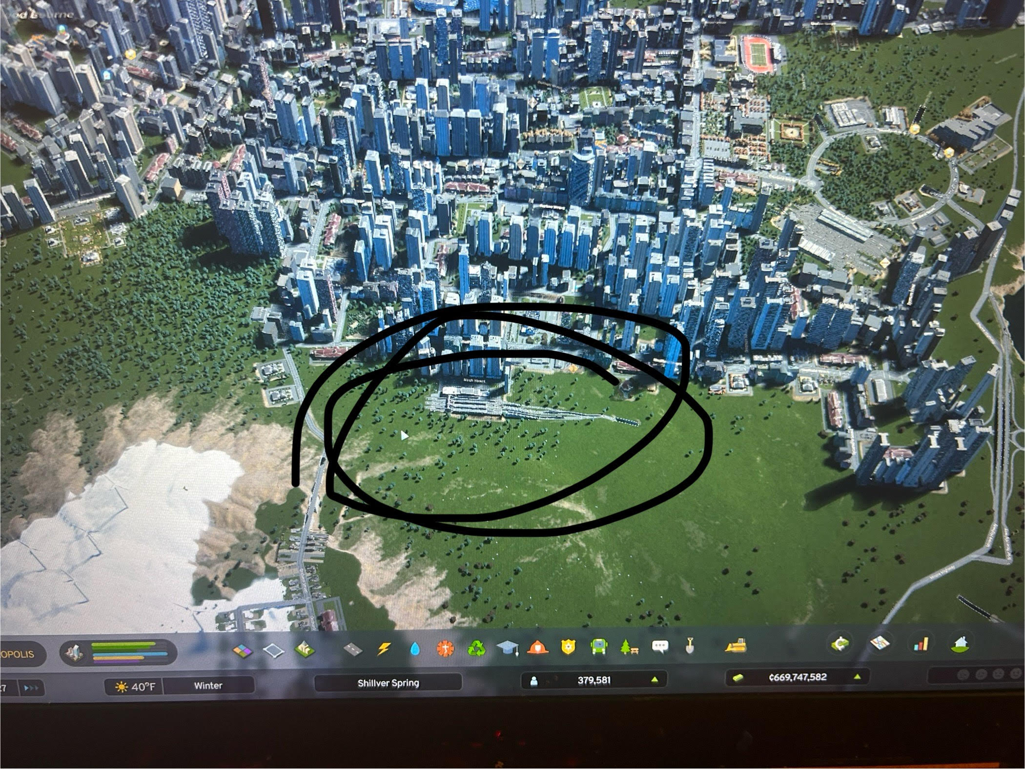 Stranded dogs left on train platforms. Have owners, but owners are leaving the train station ...