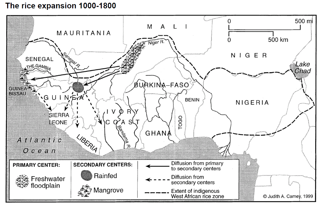 South Carolina and other areas should be able to grow rice | Paradox ...