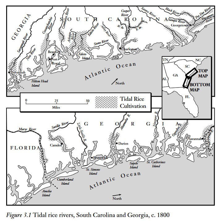 South Carolina and other areas should be able to grow rice | Paradox ...