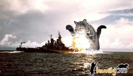 Ship's cat technology research in HOI4 | Paradox Interactive Forums