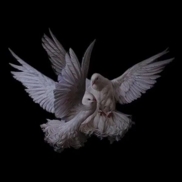 Mods! Mods! Mods! These are all ready for NCNS. (Part 2) | Paradox Interactive Forums