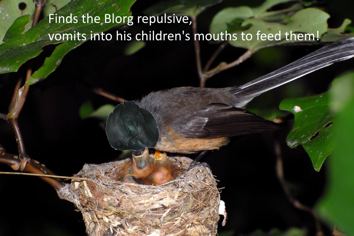 Stellaris Meme Thread | Page 26 | Paradox Interactive Forums