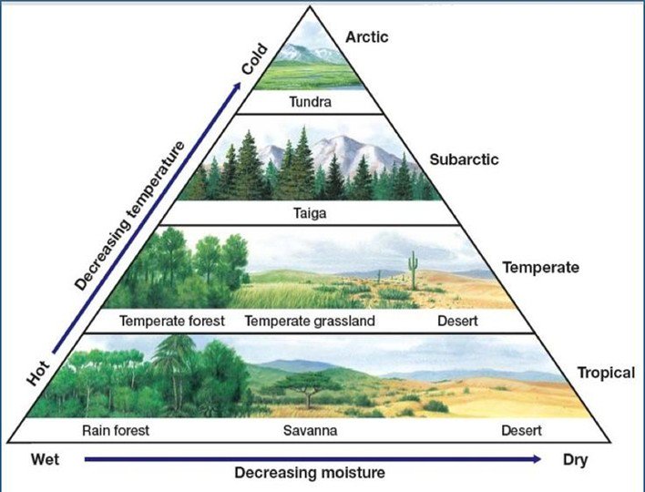 A discussion on terrain types. | Paradox Interactive Forums